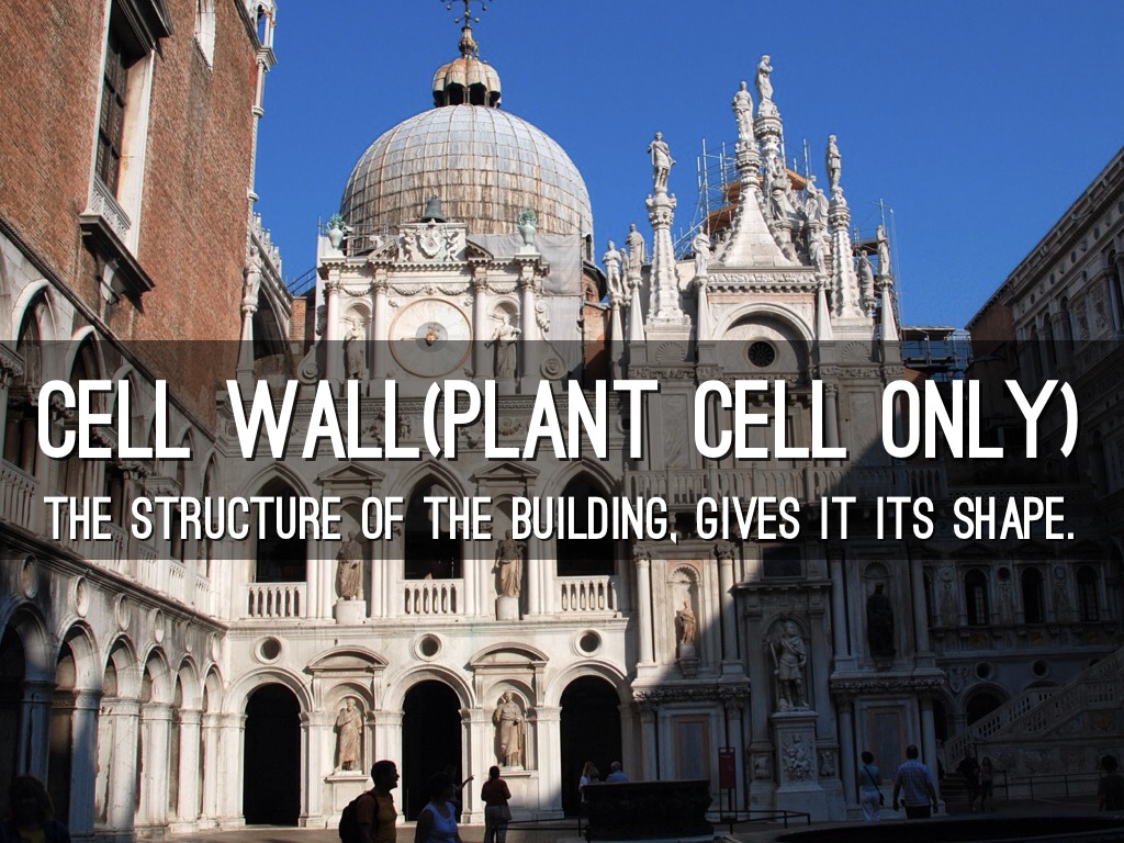 Cell Project by Avery McIllwain