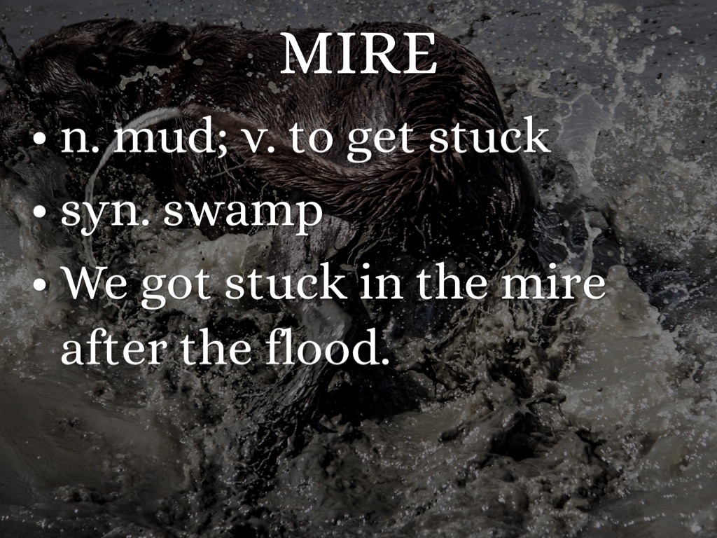 Vocab Unit 10 by Jon Rucinski