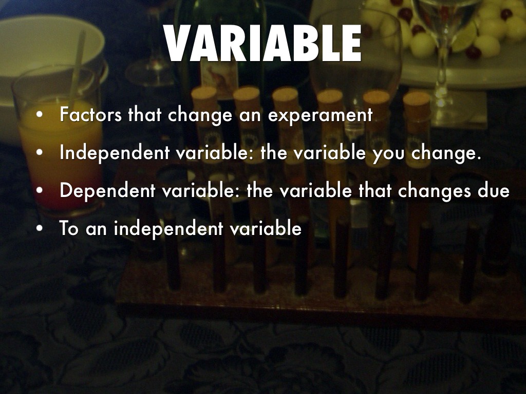 Vocabulary Presentation by Elliot Wiegerling