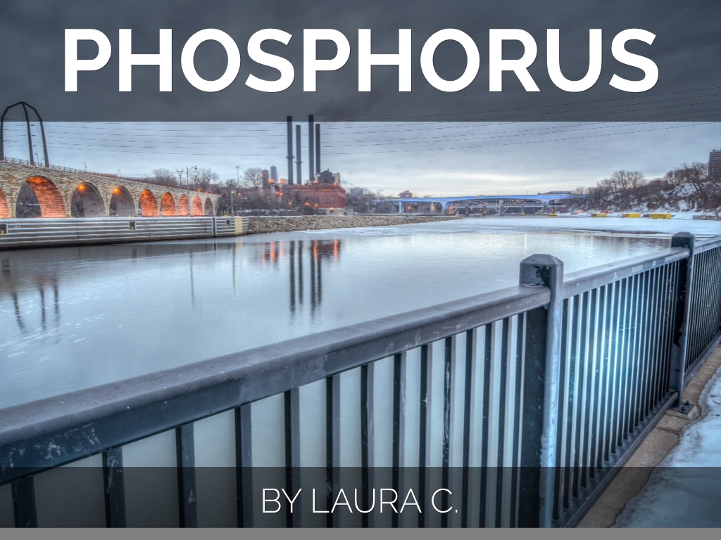 River Project by Laura Comeau