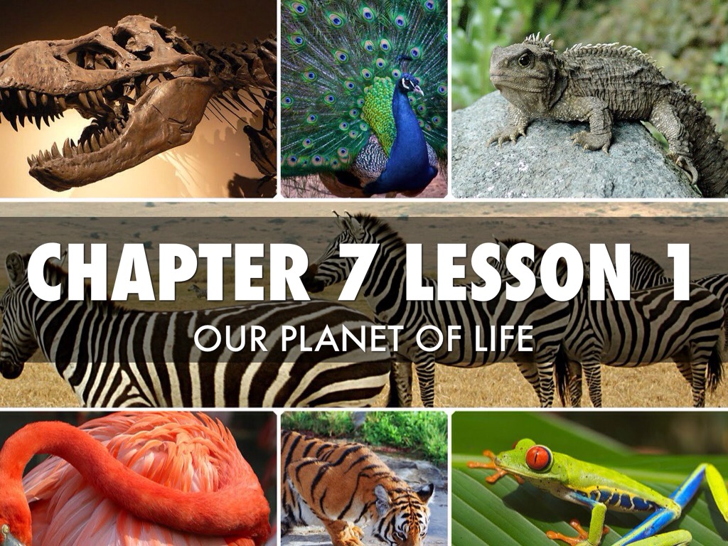 7.1 Lesson Plan by Brian Sooksapampan