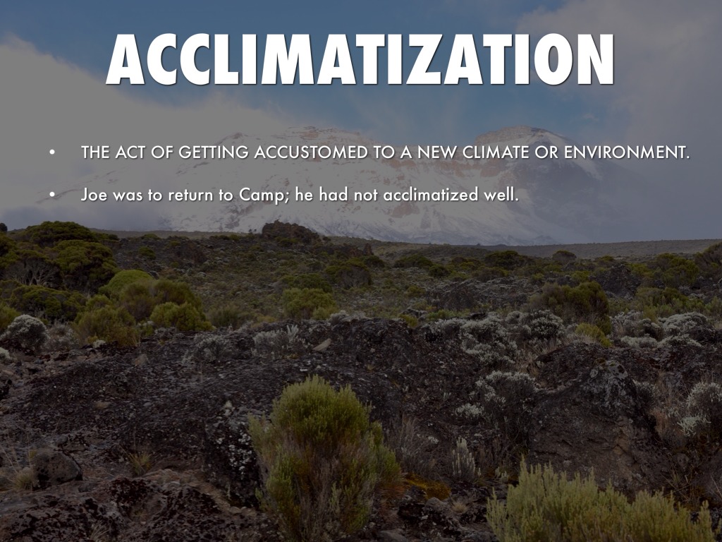 VOCABULARY 12 by michaelt_sulak