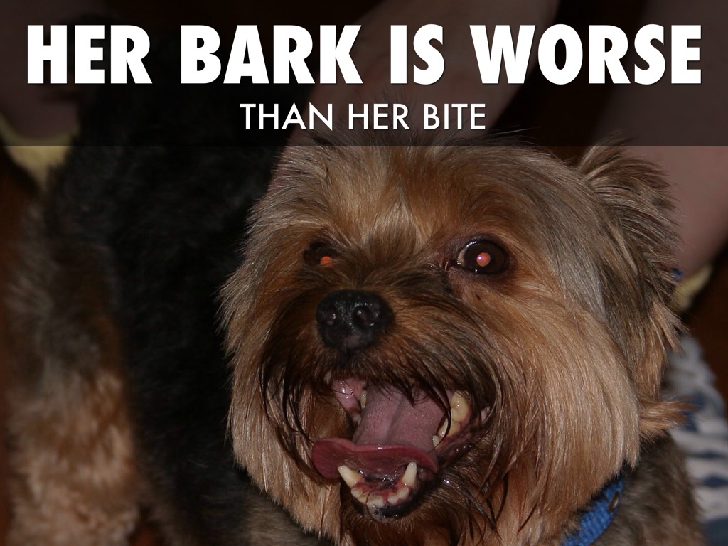 Animal Idioms by Hannah Shipman