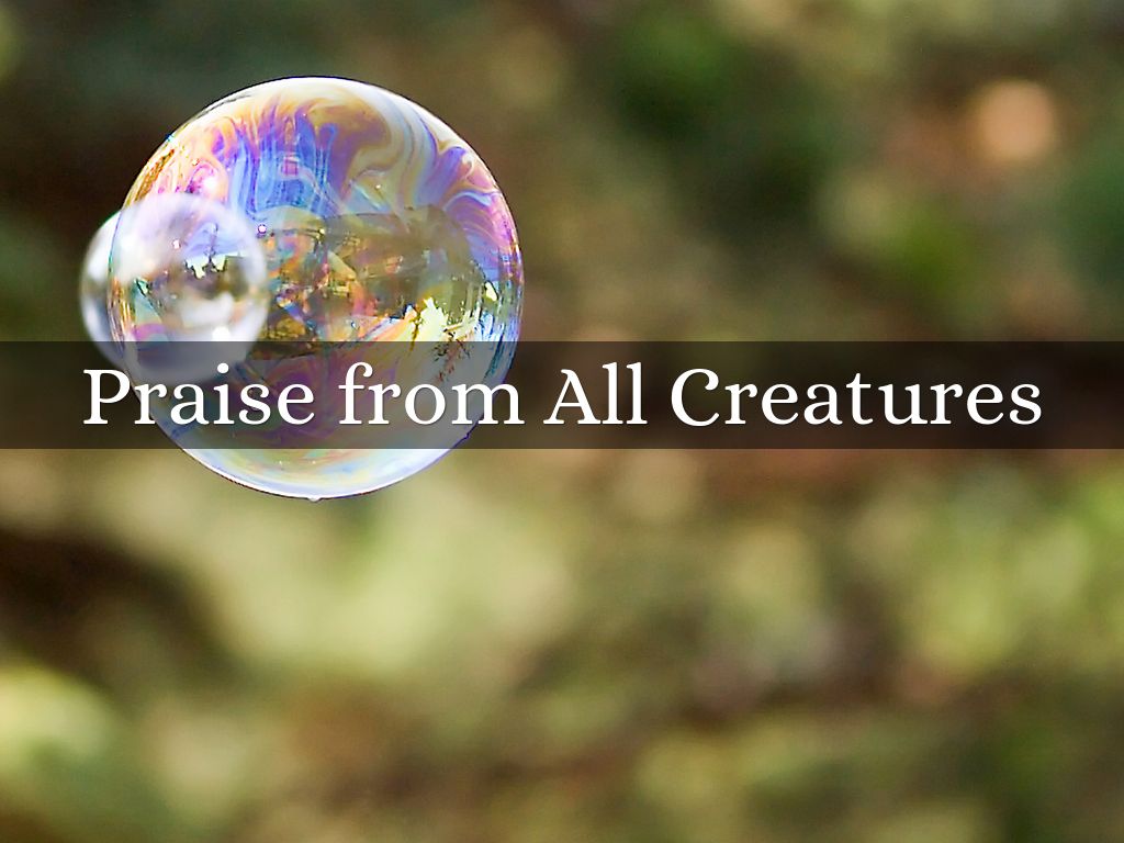 Praise from All Creatures by sdimauro