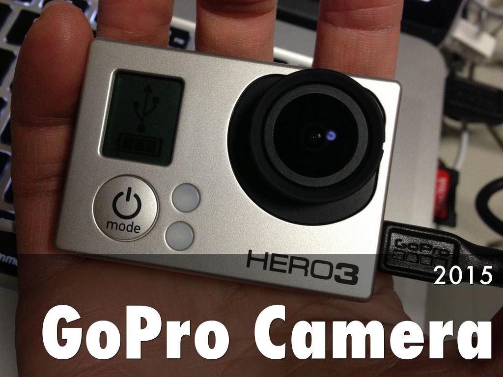 LEF Programs Today and Tomorrow by Sherah Thompson