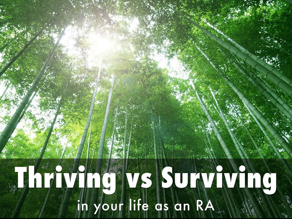 Thriving vs Surviving by Natalie Kanga