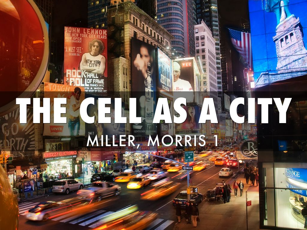 Miller, Morris 1 by Olivia Miller