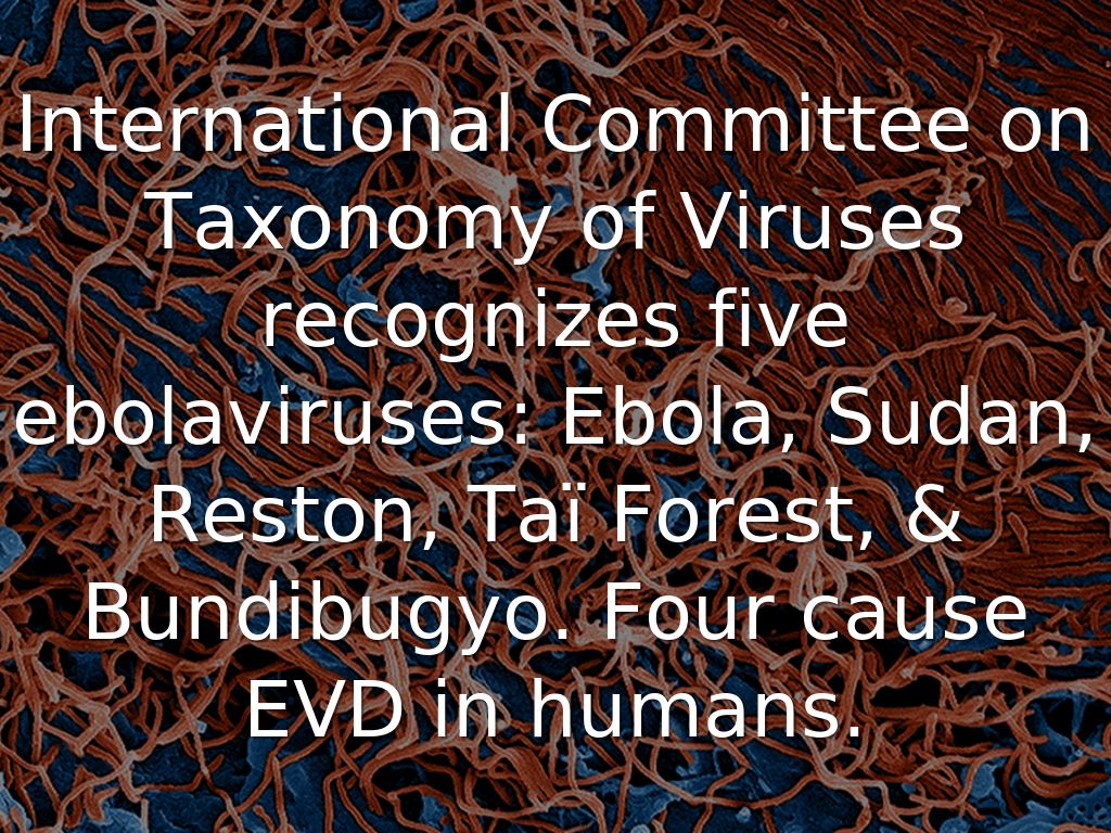 EBOLA by Earl E. Appleby, Jr.