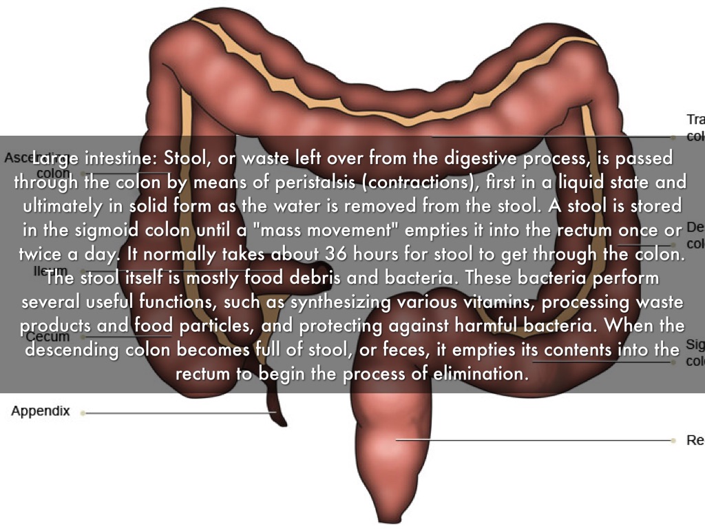 Science by Alyson Lide