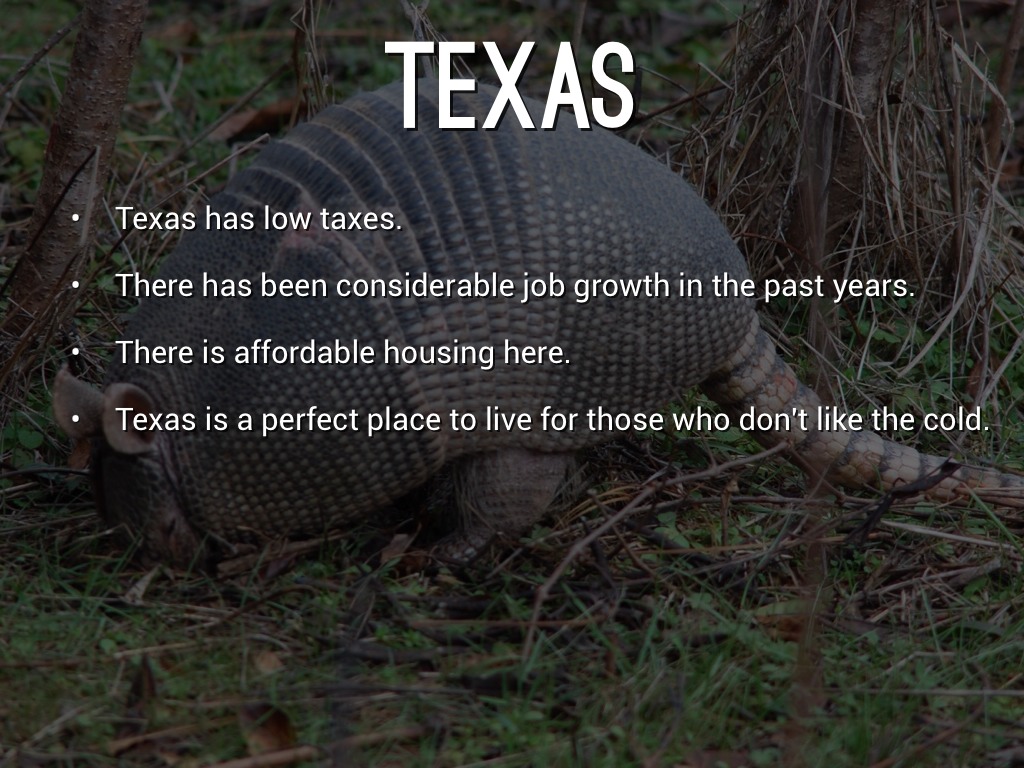 Where People Live And Why by Kaylee Engle