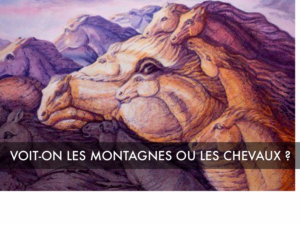 les beaux arts de métamorphose by Natasha Viens