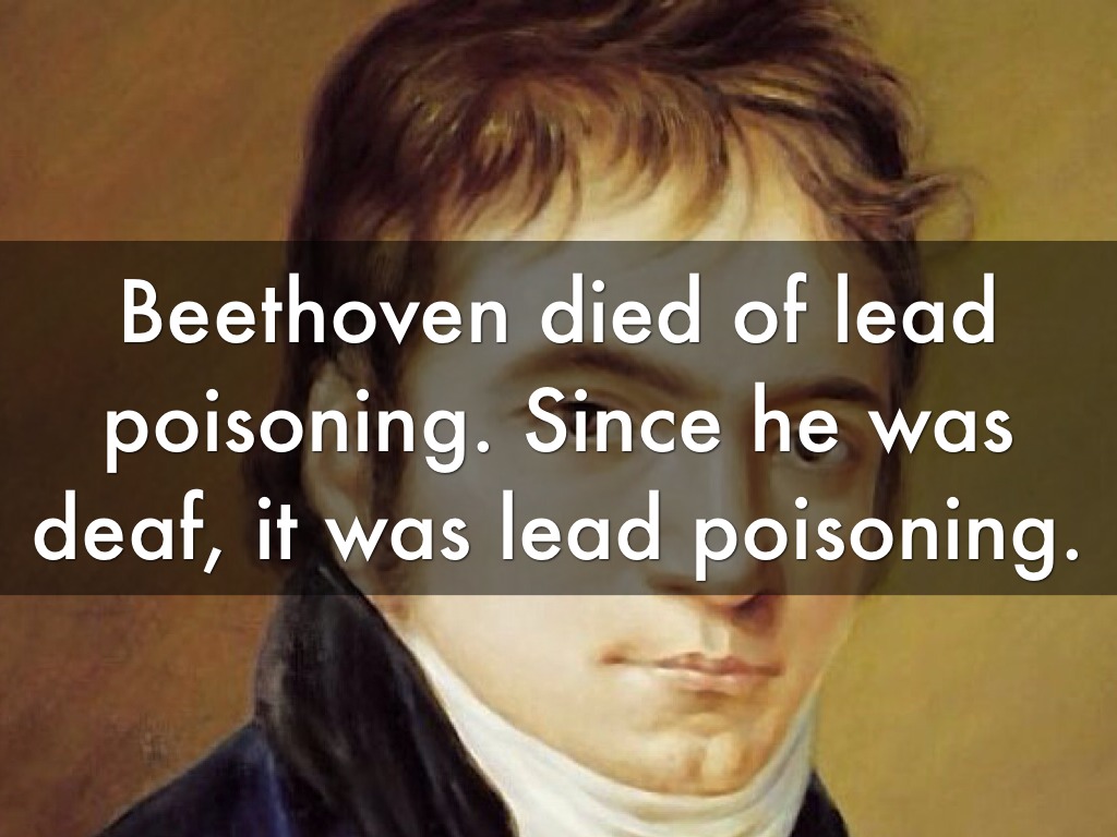 Ludwin Van Beethoven by Zioanna Powell