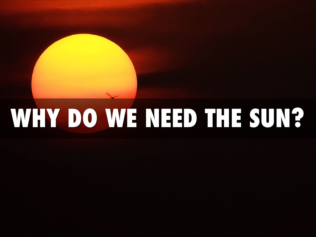 The Sun by Anna Höglund