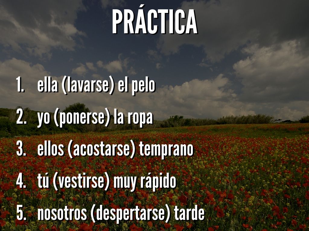 Los reflexivos by ncgwen