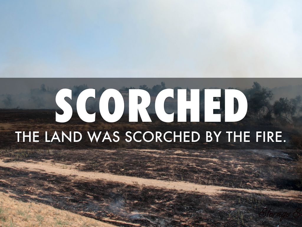 4th Vocabulary by Christy Hames