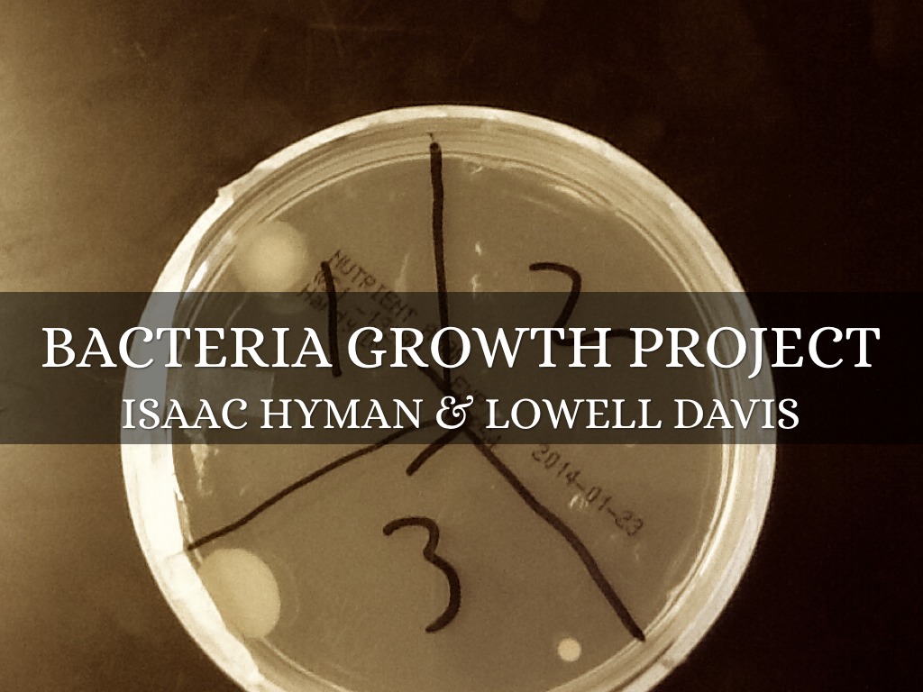 SCIENCE:bacteria by Ike Hyman