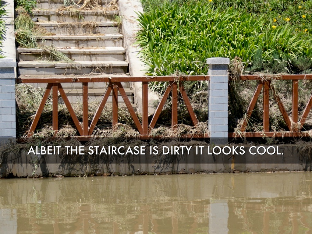 Qtr. 4 Vocab by Fatima Ayour