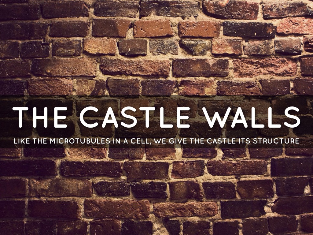 Science Cell Project by briyaowl