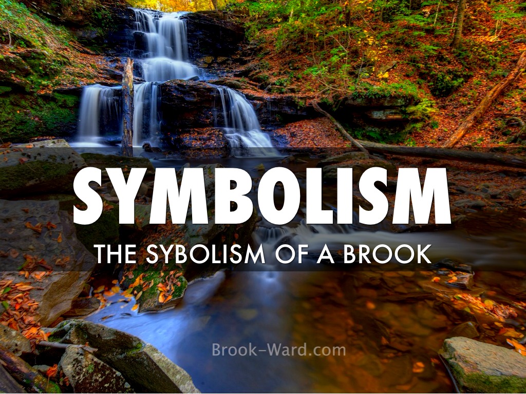 The Brook by Jairo Rodrigues