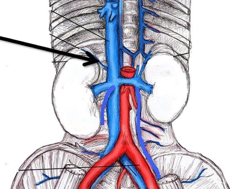 Journey To The Center Of The Urethra by Taylor Gillies