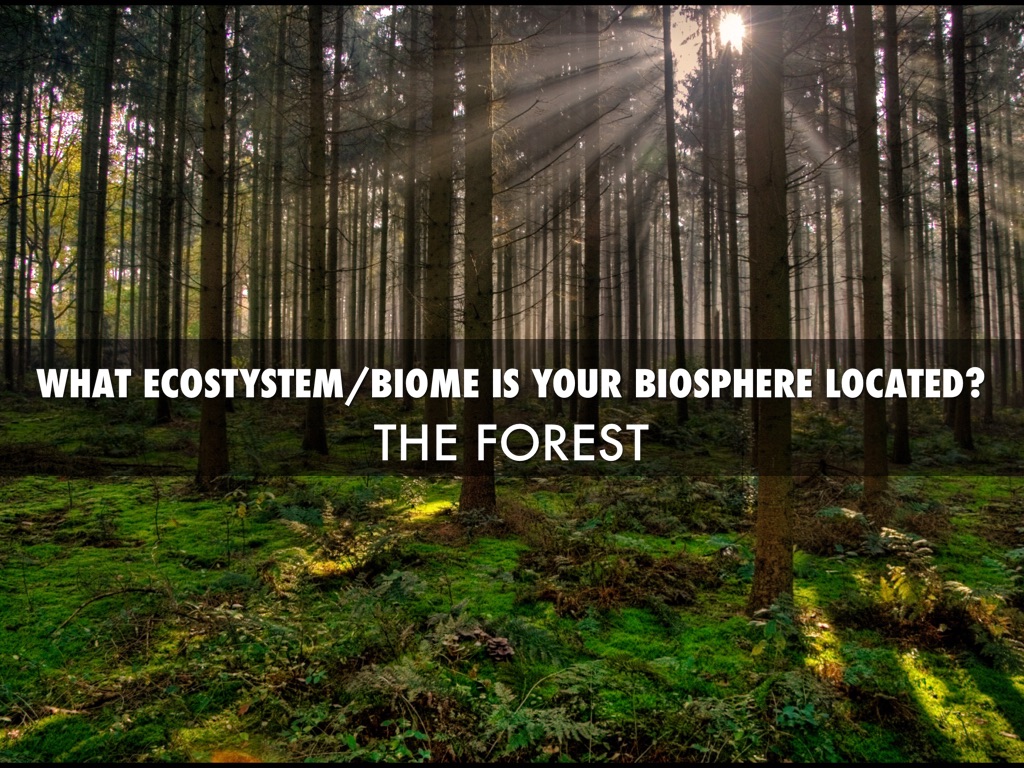 Biosphere Project By Gina The Great :) by Max D