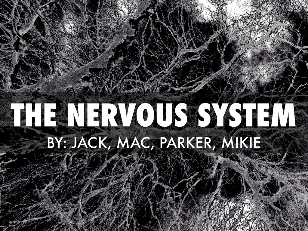 Human Body Presentation by jack rathe