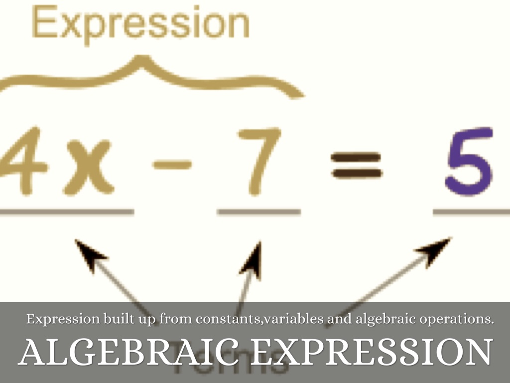 Math Vocabulary by Taylor Daviss