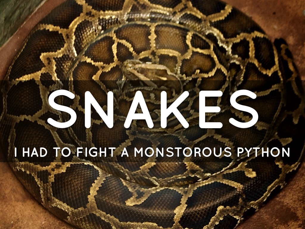 Mallory And Brooke by Tamara Hinders