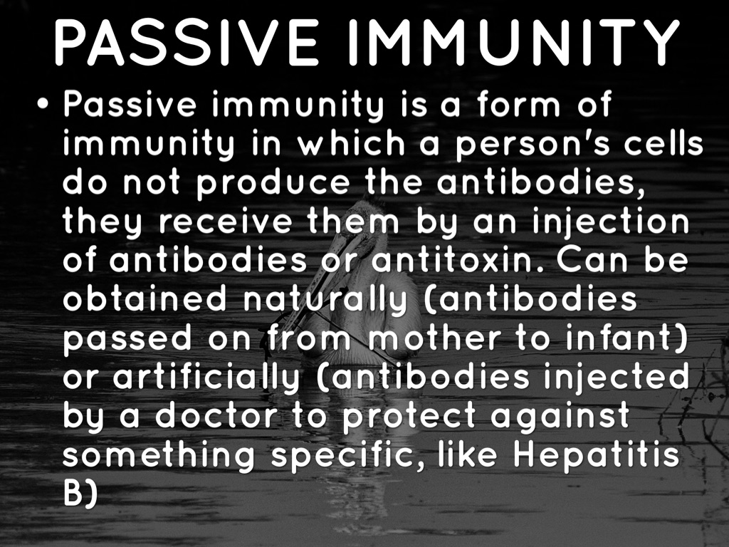 The Immune System