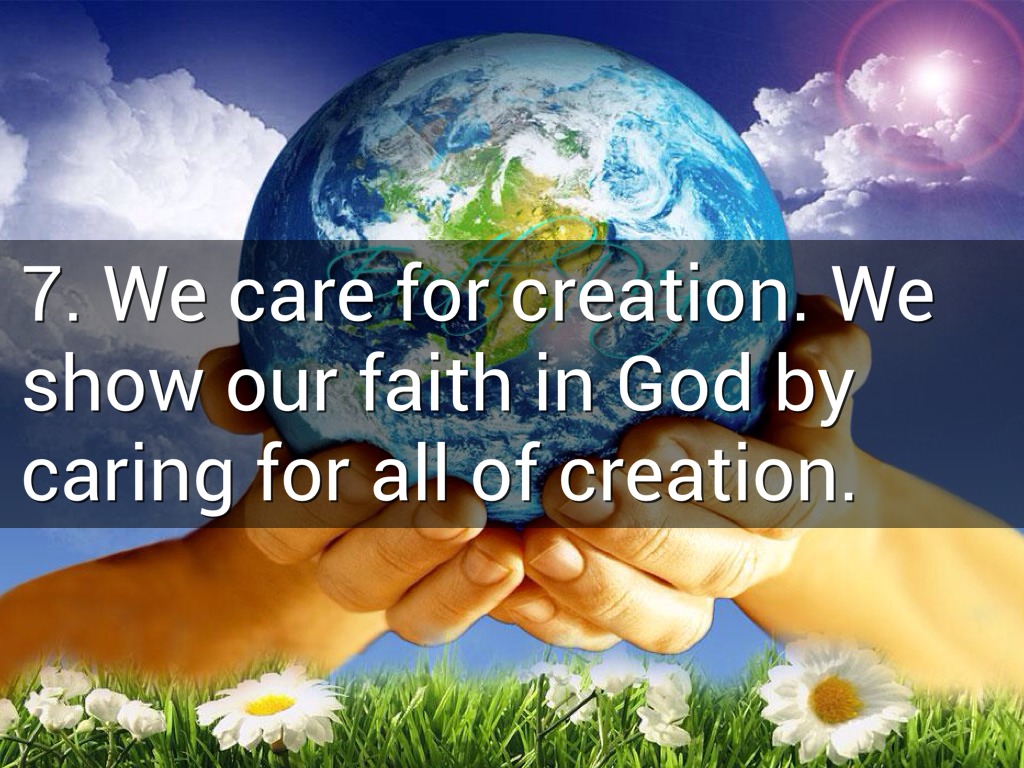 The 7 Principles of Catholic Social Teaching