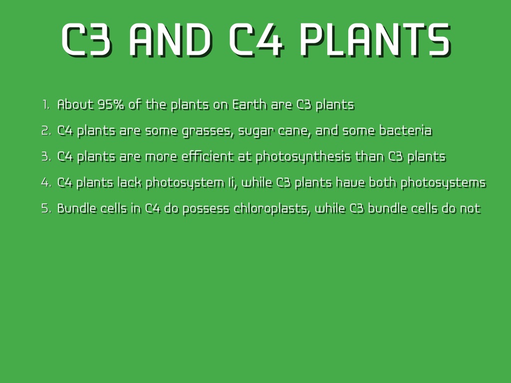 Photosynthesis by Maribel Zuniga
