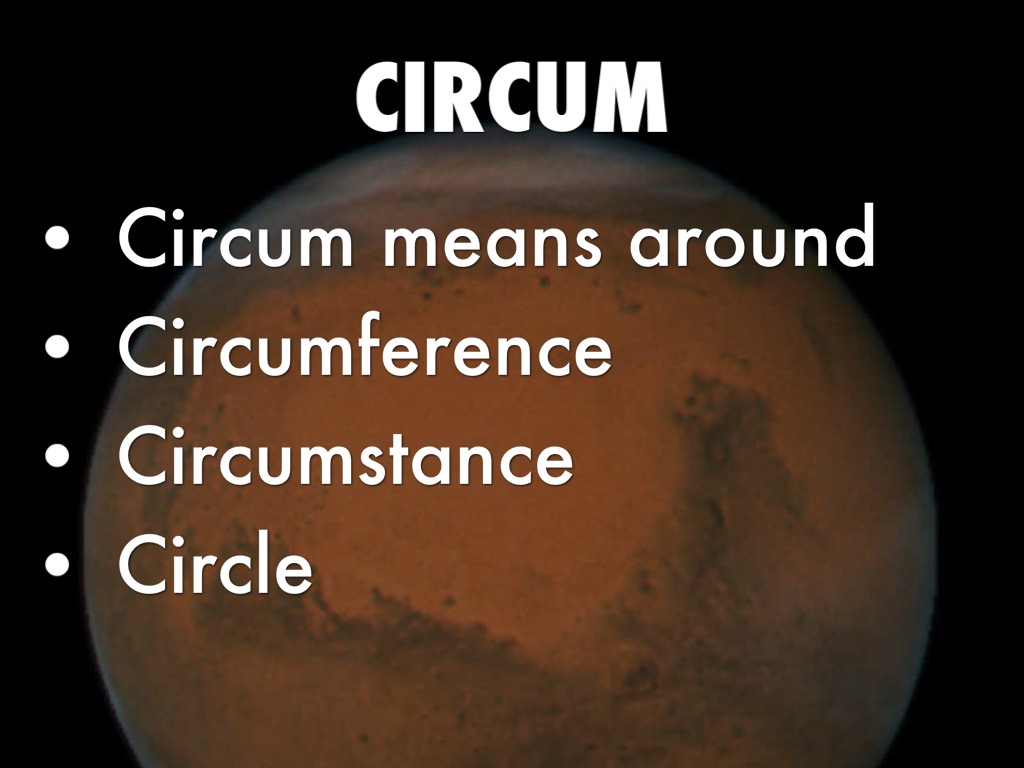 ROOTS PROJECT by Bob Joans