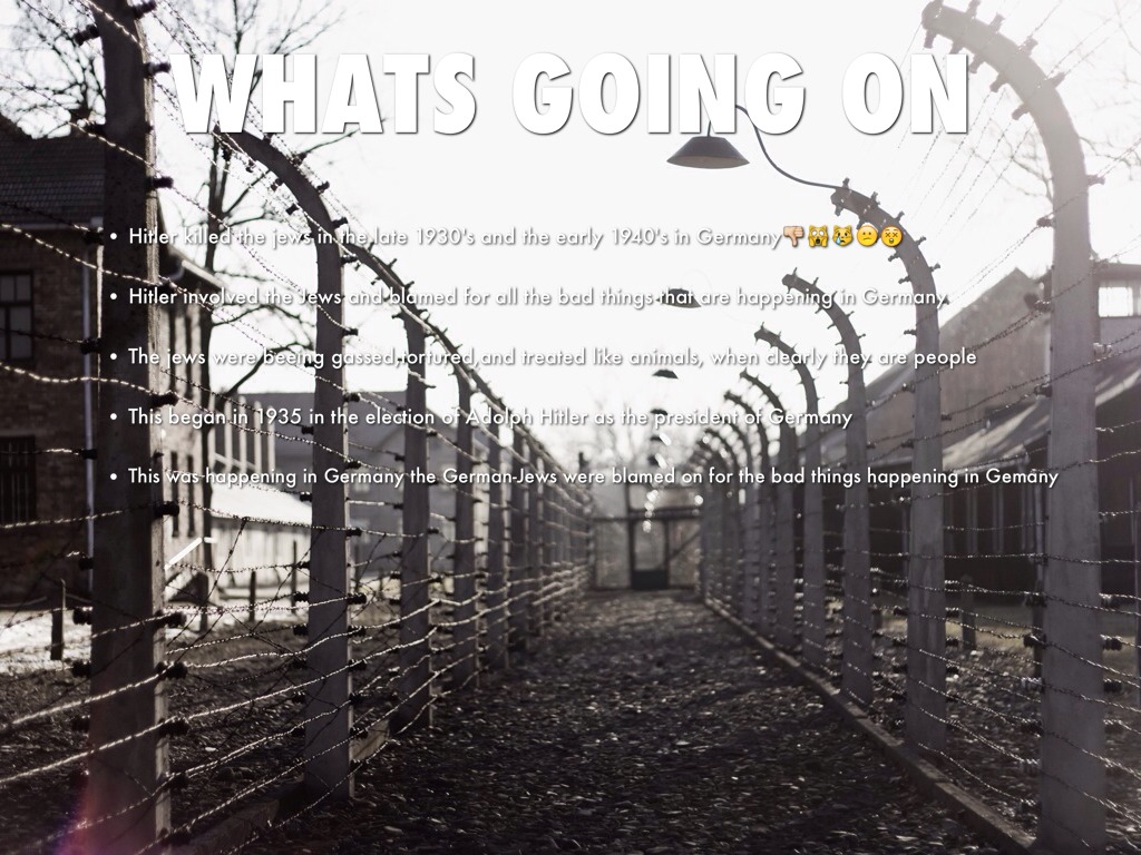 THE HOLOCAUST PROJECT by william Tovar