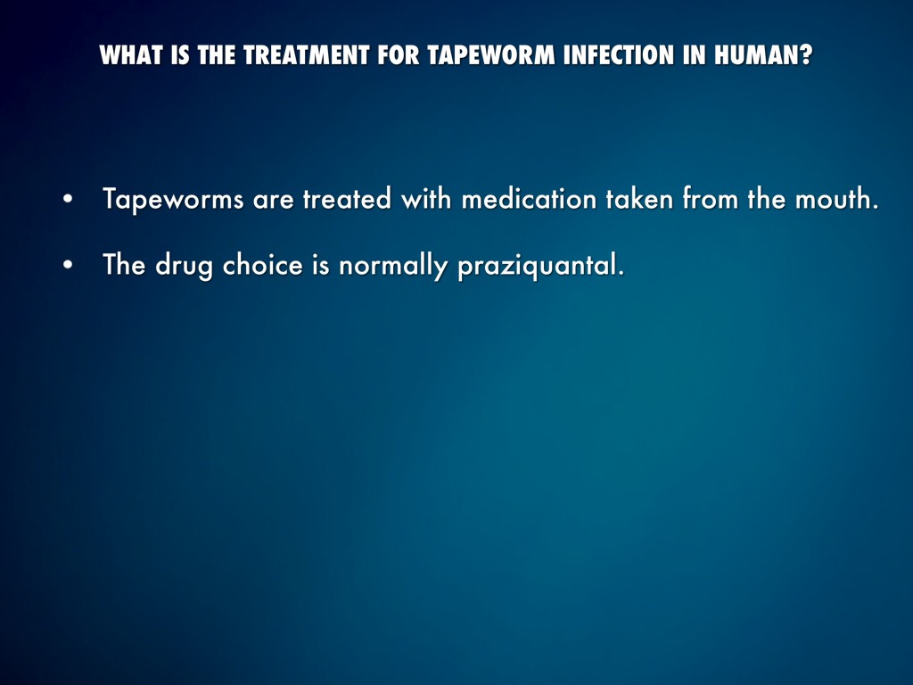 TapeWorms by MaKayla Mitchum