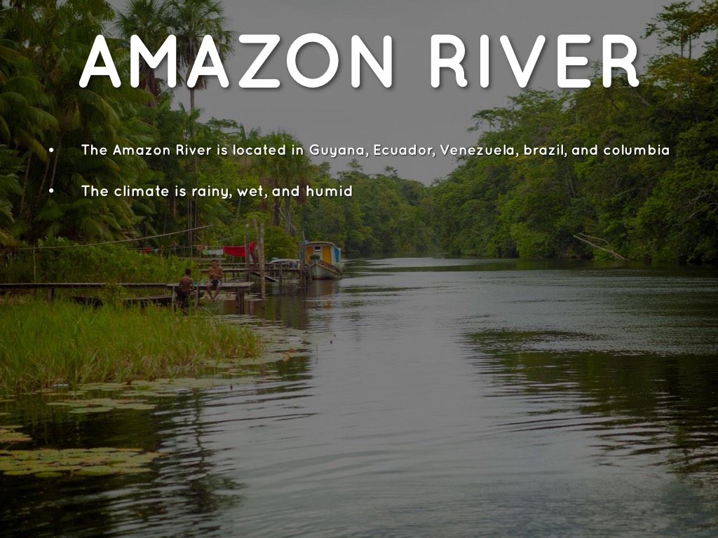 Social Studies by alisa.gibson