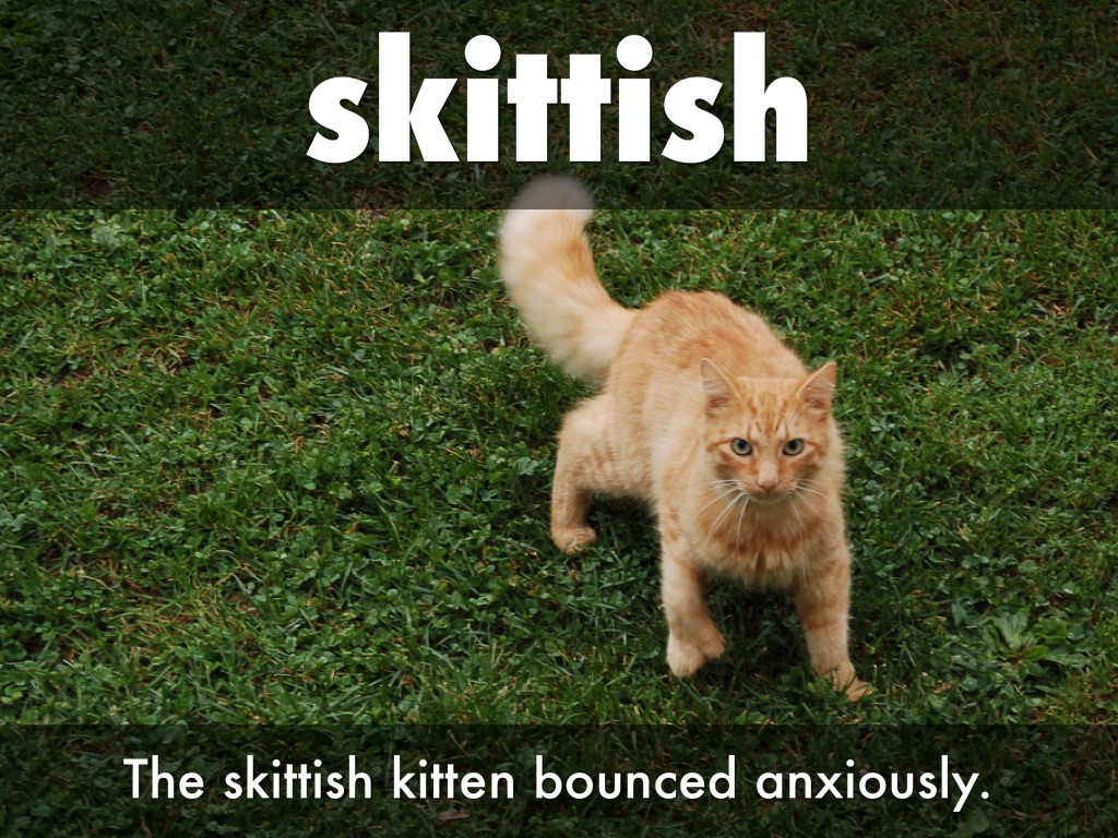 List 6 by priagarzag