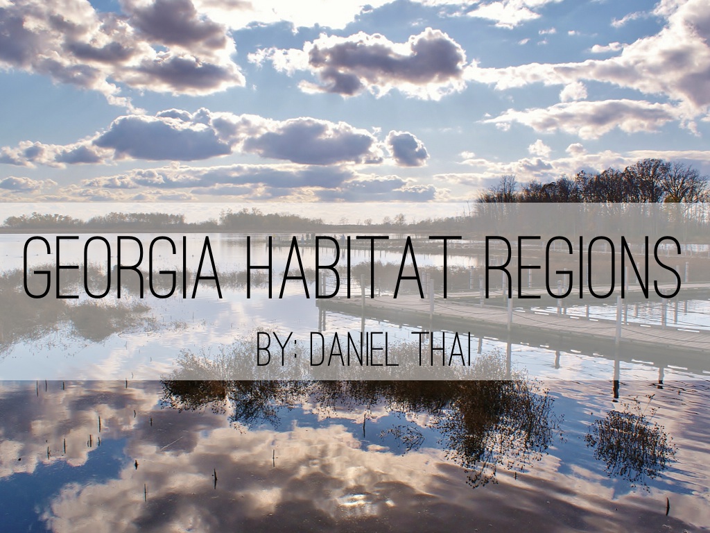 Copy of Georgia Habitat Regions by Shannon Burge