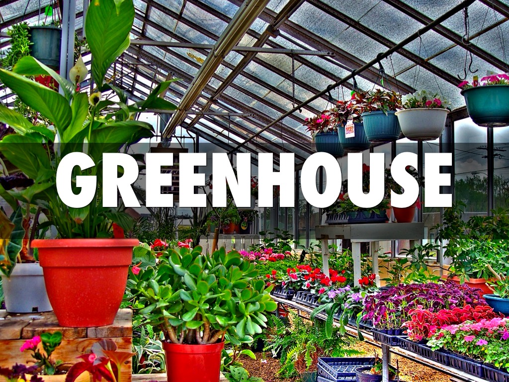 Energy Max Shriver by maxwell.shriver