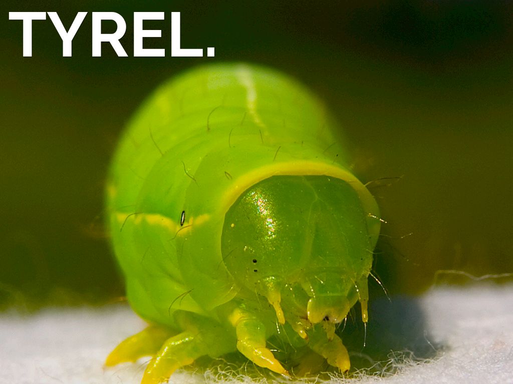 hero's Journey. by Laney Lopez