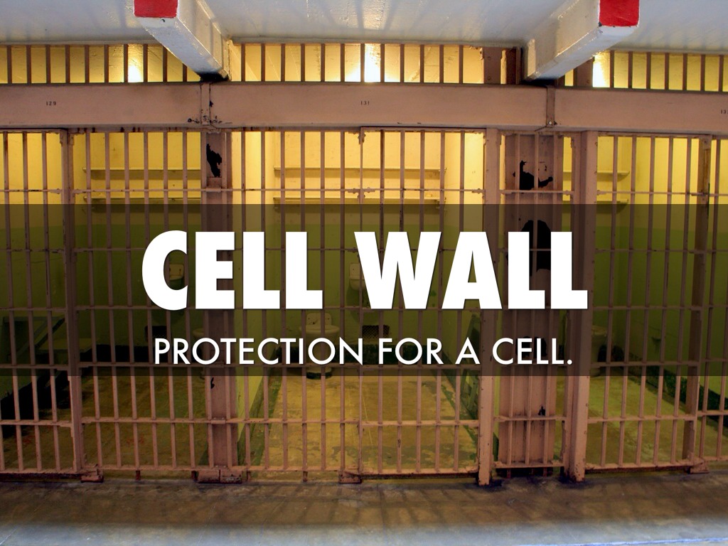 Greenstein/Halaby 7 by danitorres99