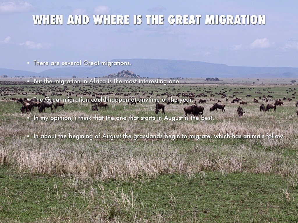 The Great Migration