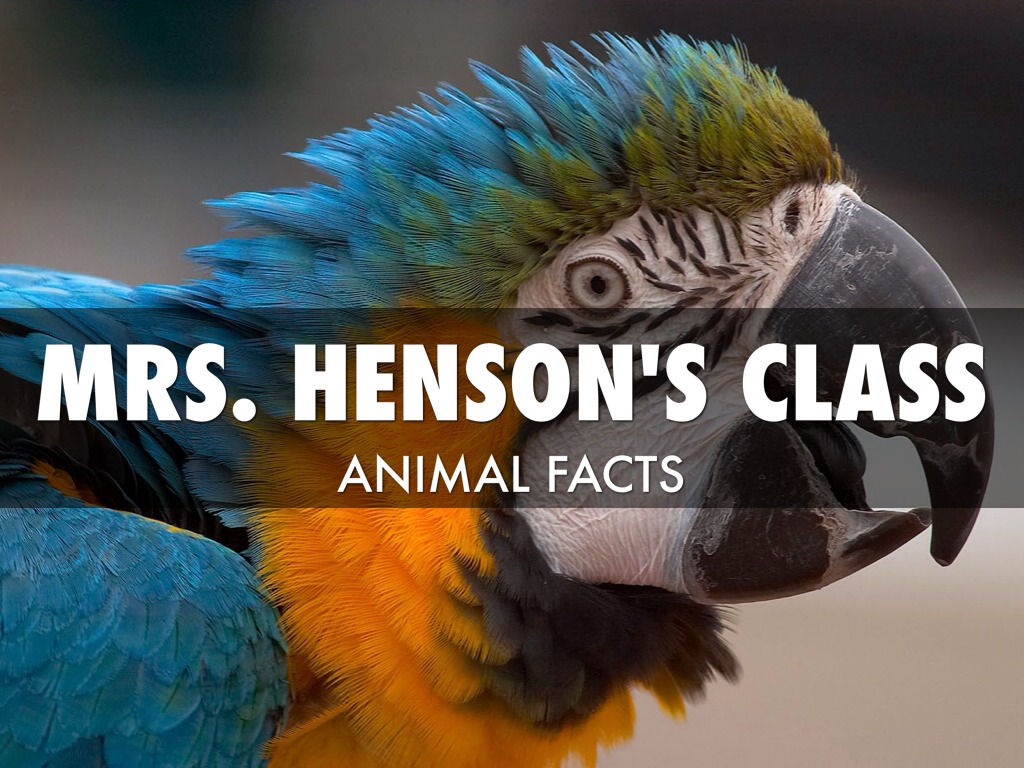 Mrs. Henson by jmassey