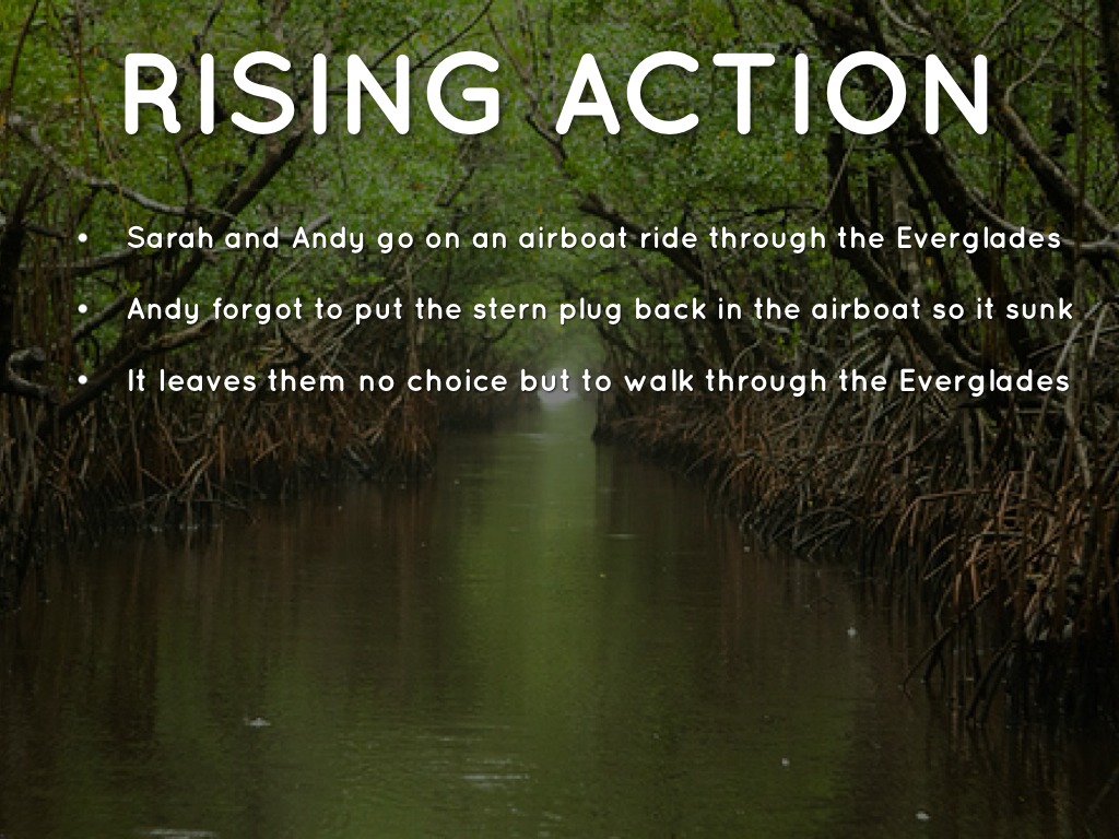 Lost in the River of Grass by Kaleigh Davis