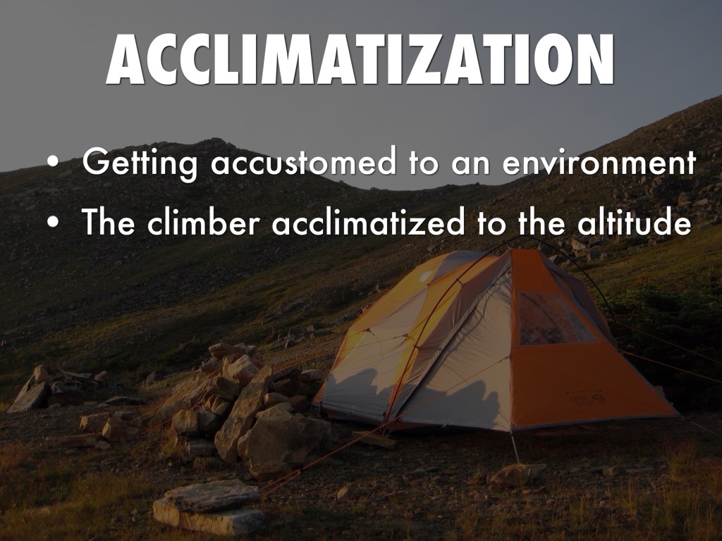 10-12 Vocab by Keaton Loudamy