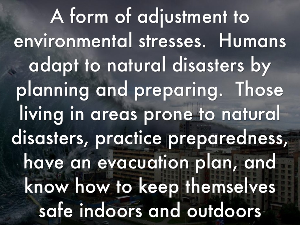 Adapting To The Environment by Dylan Svoboda