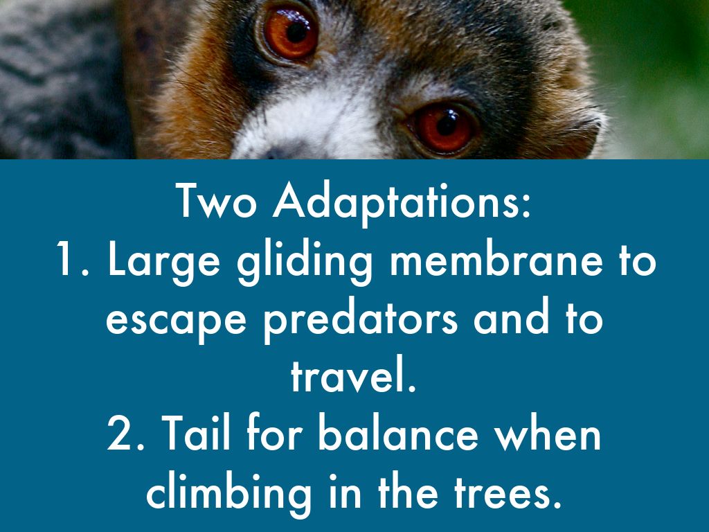 Nate Engstrom and Sean Prendiville by nlee.engstrom