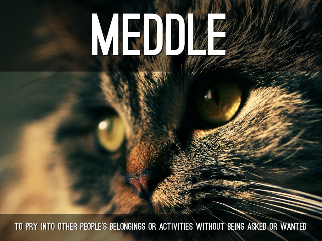 Quarter 1 Vocal by Brian Mutinda