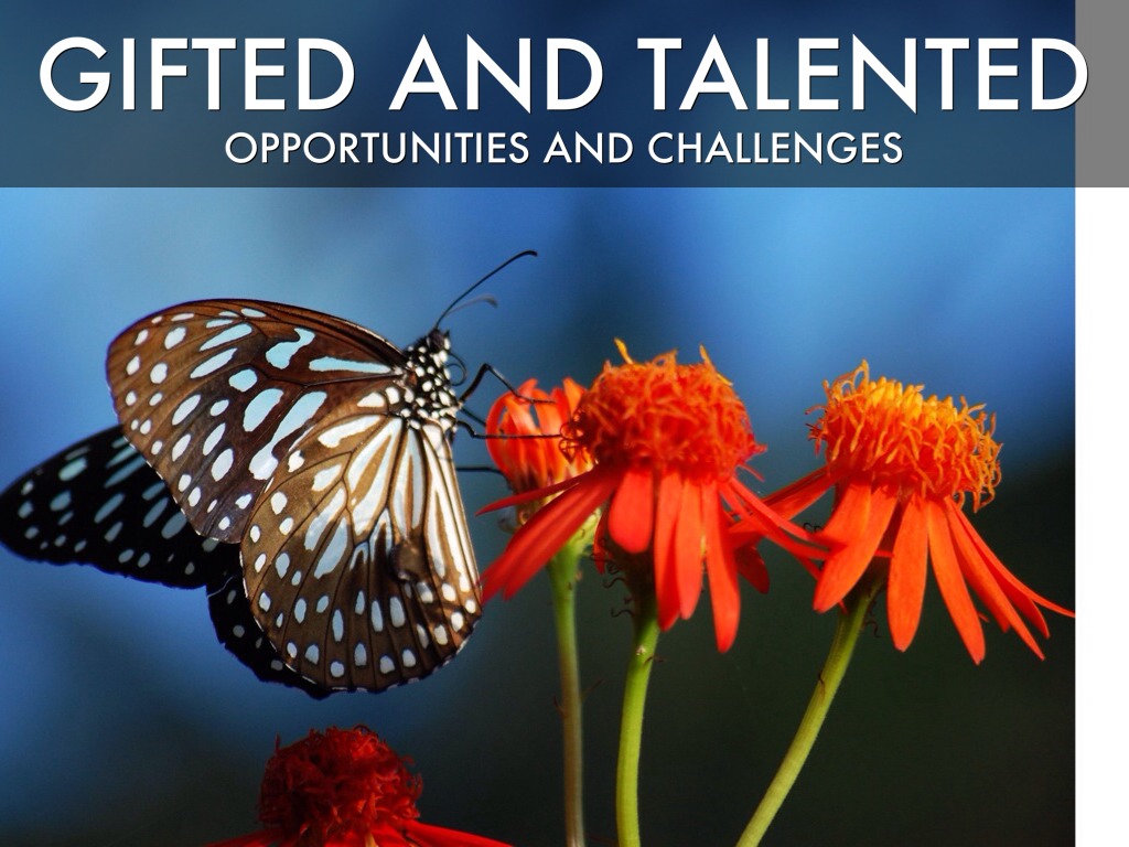 Gifted and Talented by J Uprichard