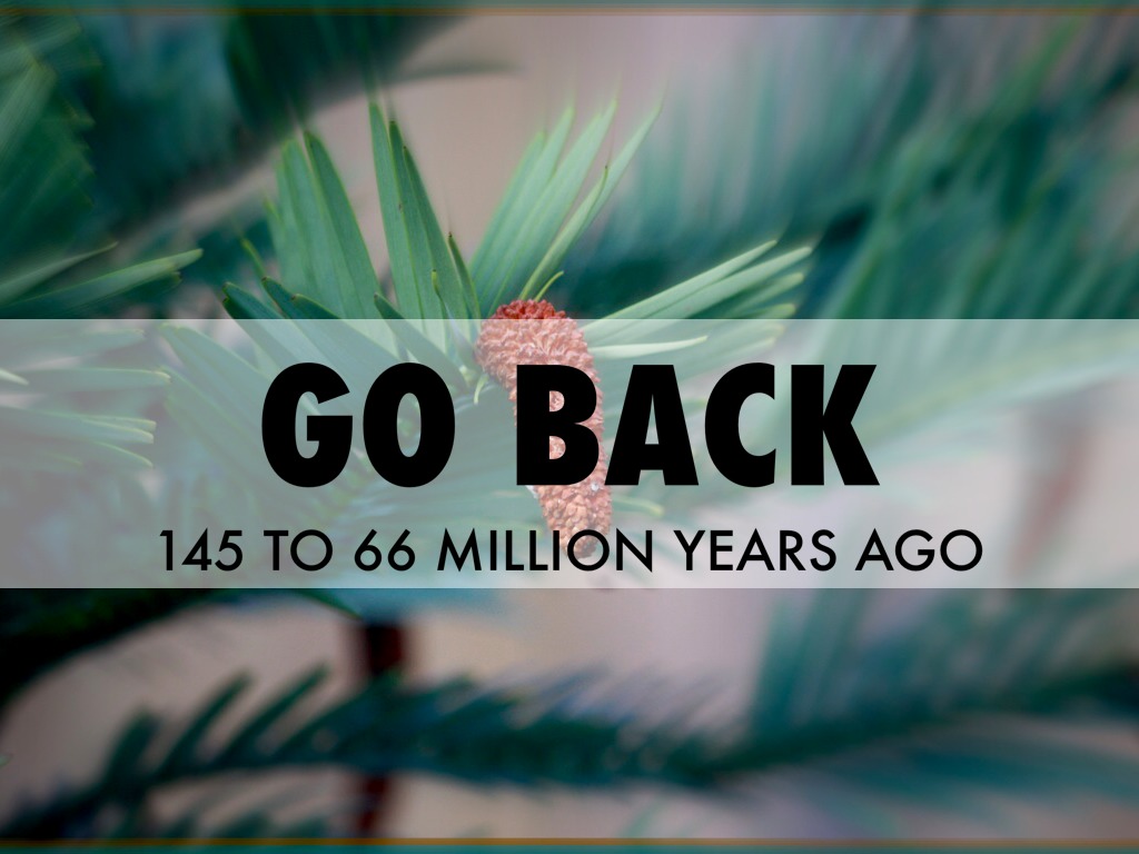 Cretaceous Period by Katie Bolin