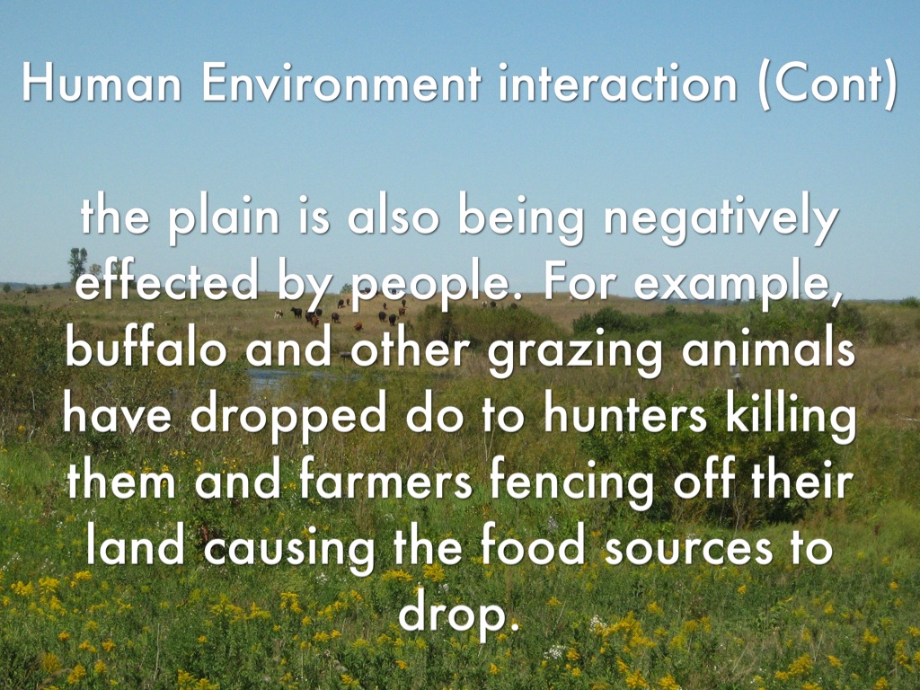 land forms project by Tyler Gerding